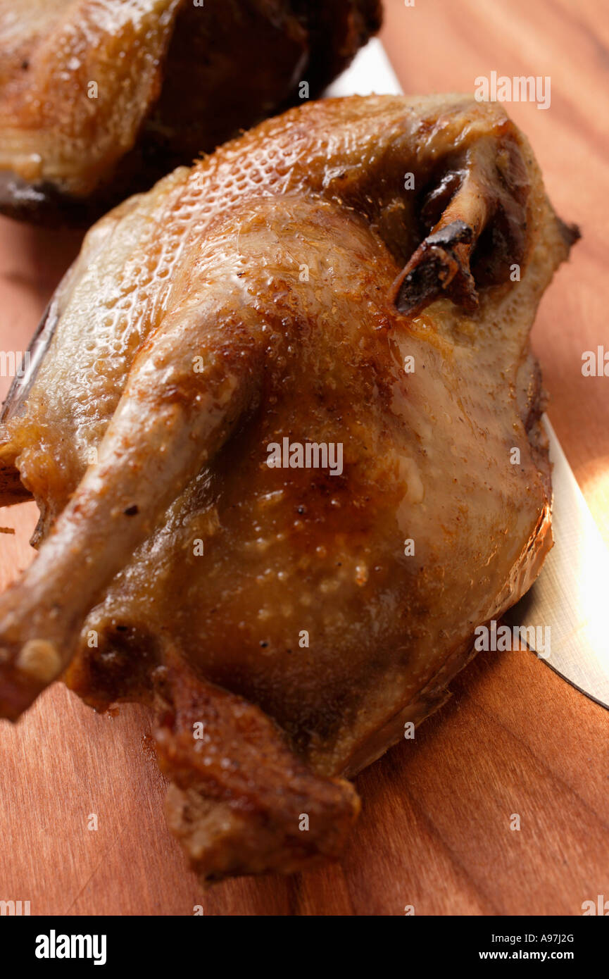 Roast pigeon halved on knife FoodCollection Stock Photo - Alamy