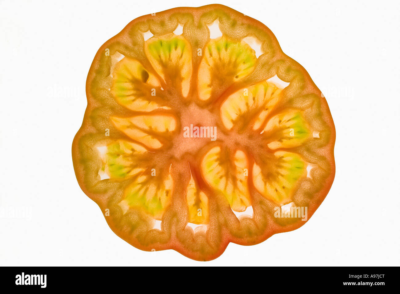 Slice of tomato cross section backlit FoodCollection Stock Photo - Alamy