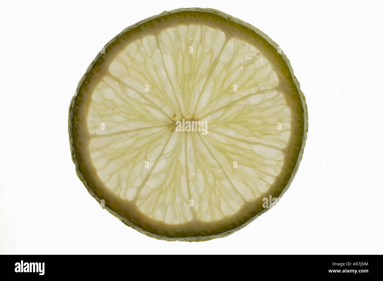 Slice of lime backlit FoodCollection Stock Photo - Alamy