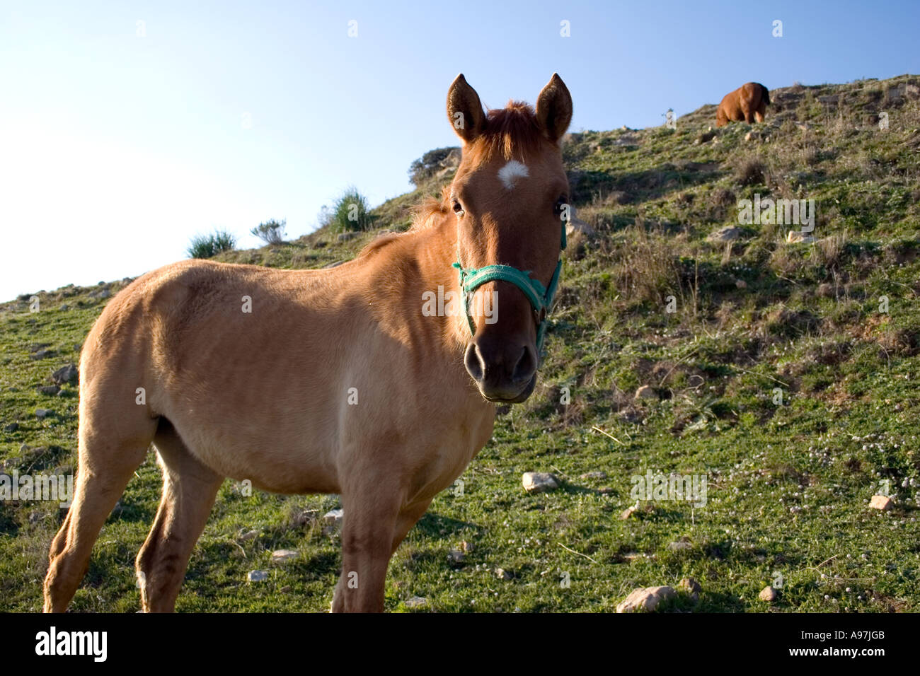 Dusty hill side view hi-res stock photography and images - Alamy
