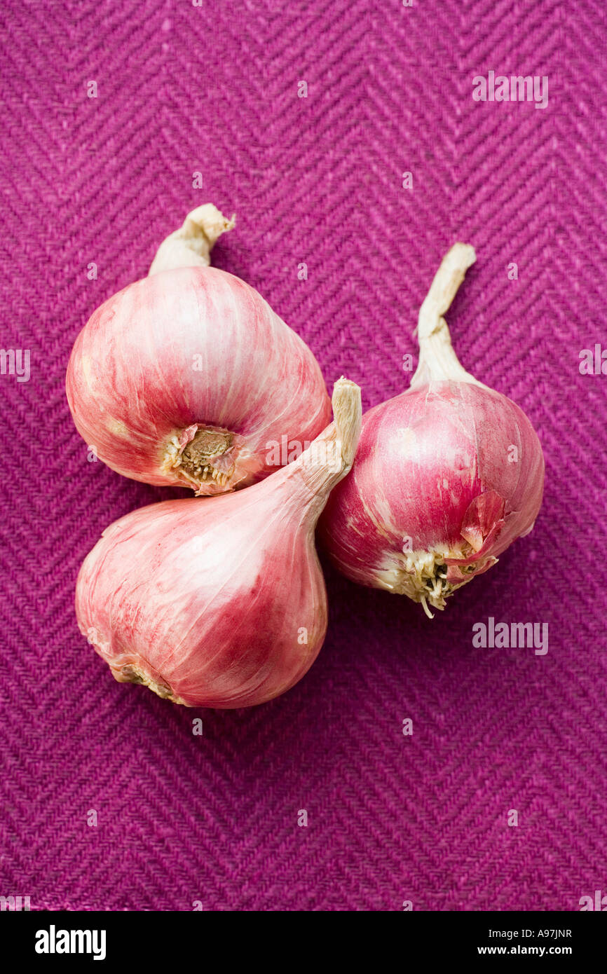 Three red onions on purple background FoodCollection Stock Photo - Alamy