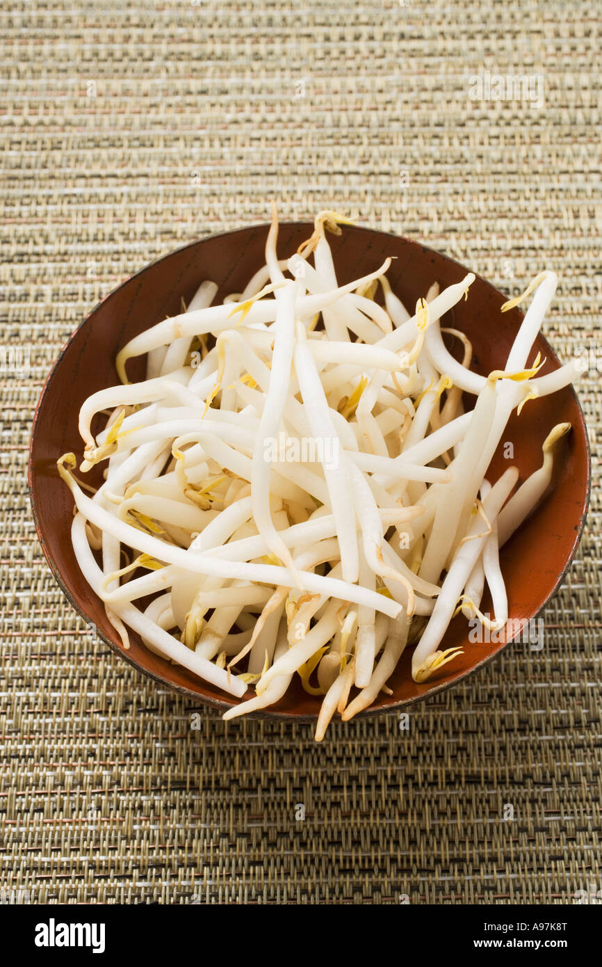 Soybean sprouts glycine max hi-res stock photography and images - Alamy
