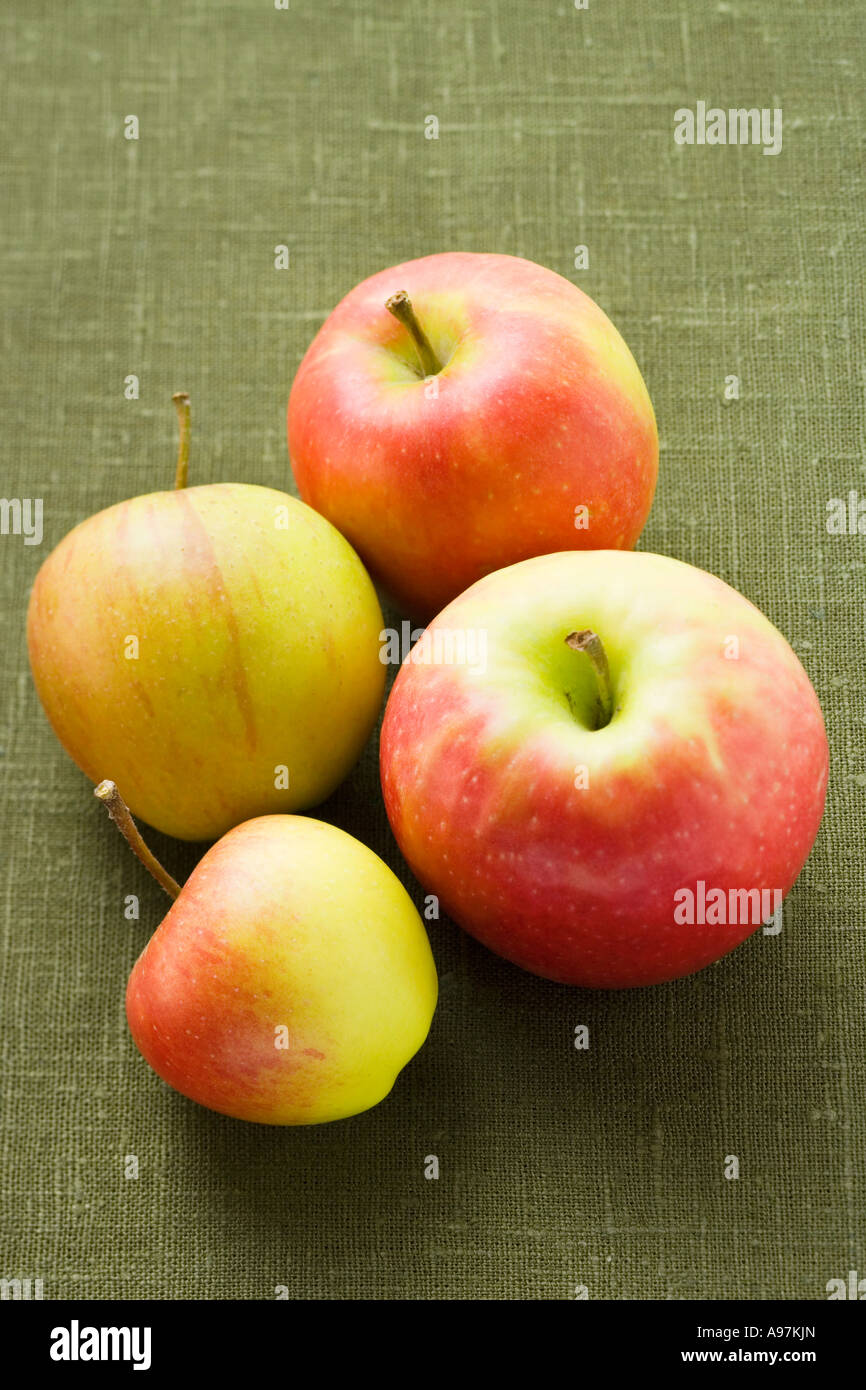 Four core hi-res stock photography and images - Alamy