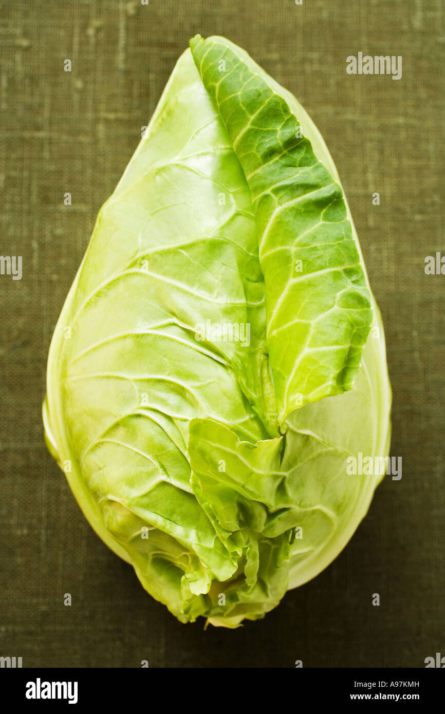 Pointed cabbage on green background FoodCollection Stock Photo - Alamy