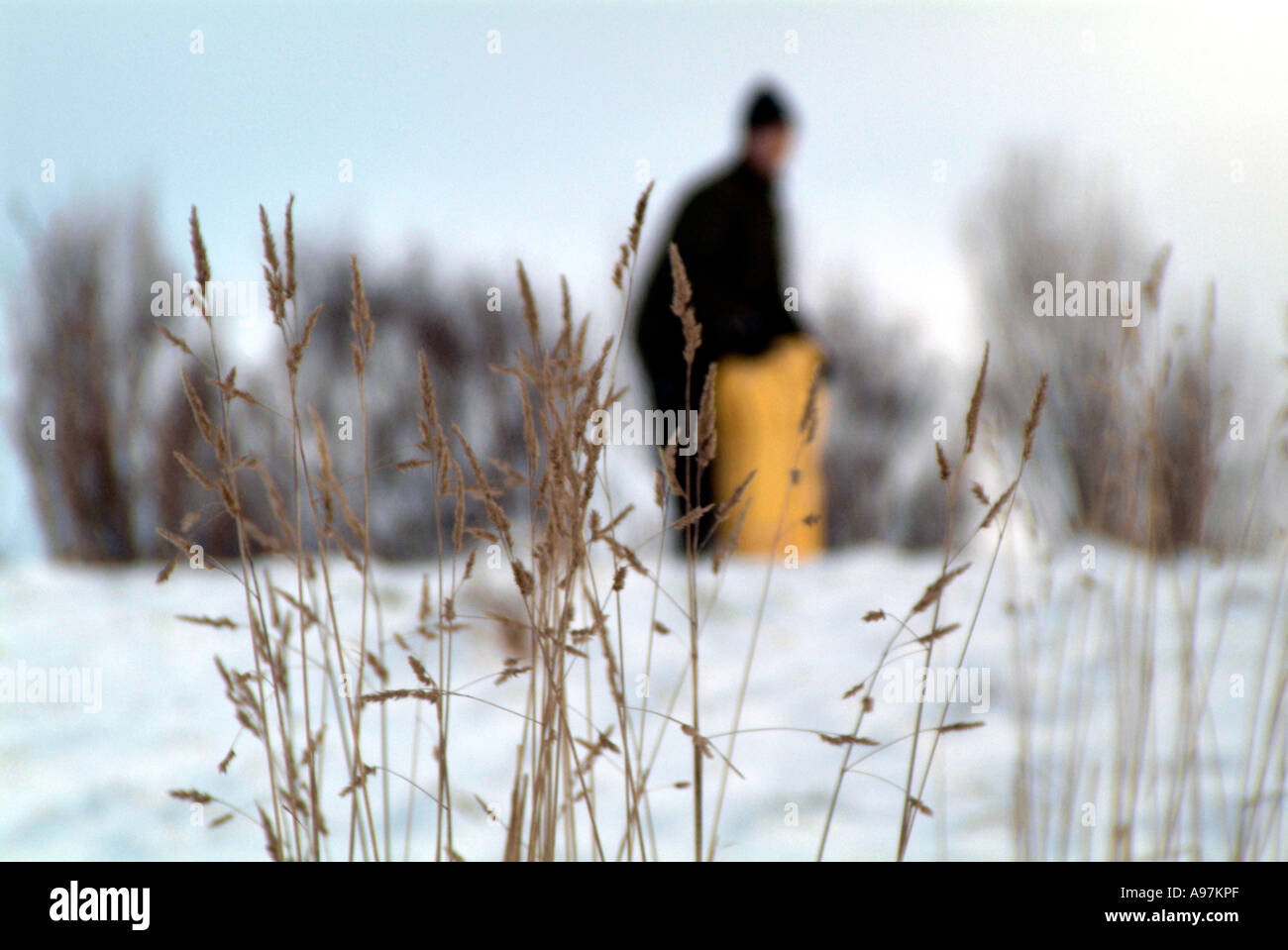 Grass sledging hi-res stock photography and images - Alamy