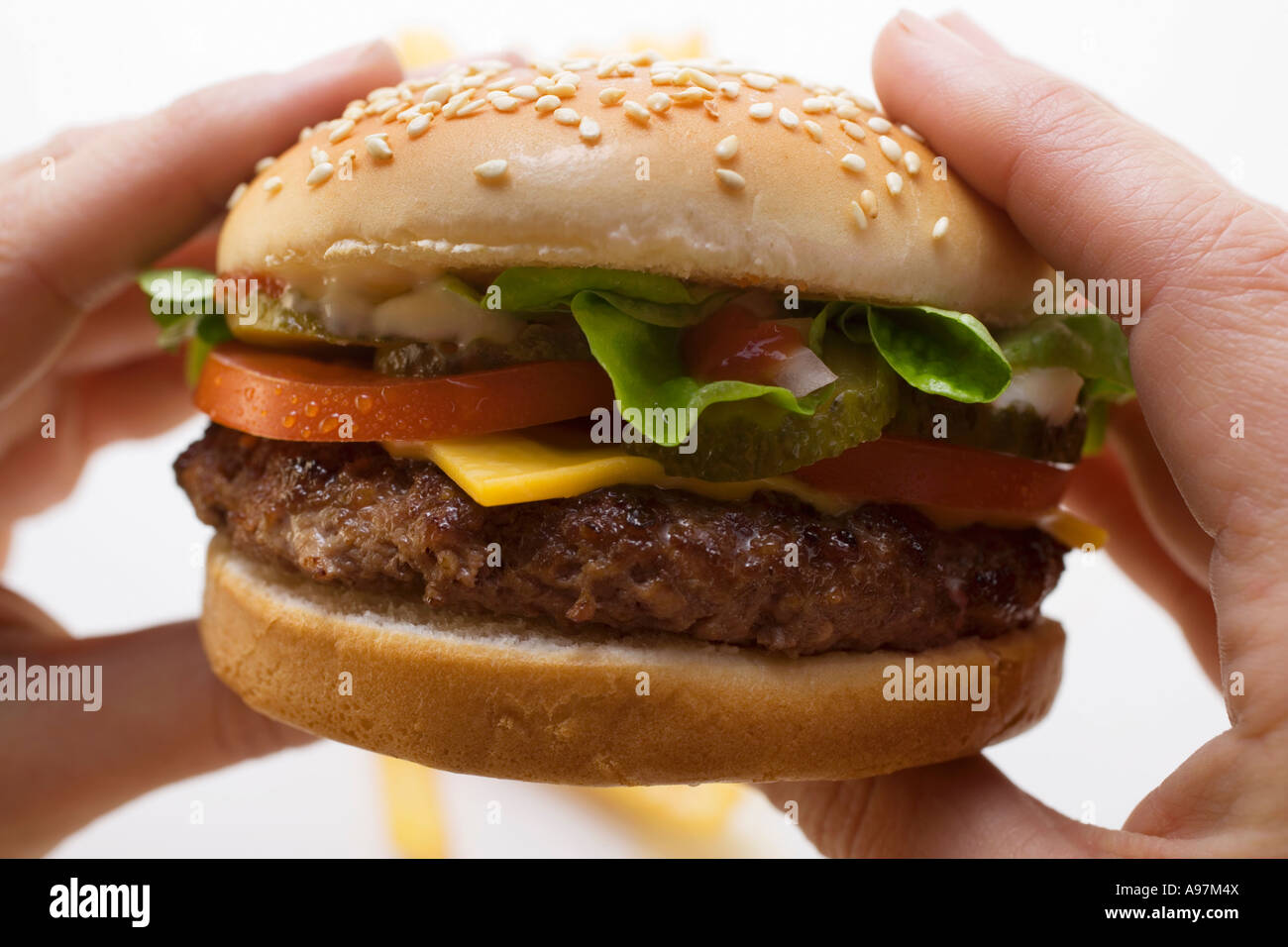 Hands holding cheeseburger FoodCollection Stock Photo - Alamy