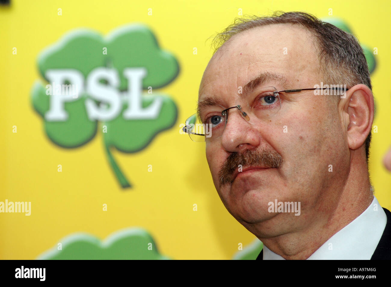 Anna Kasprzak's Instagram, Twitter & Facebook on IDCrawl