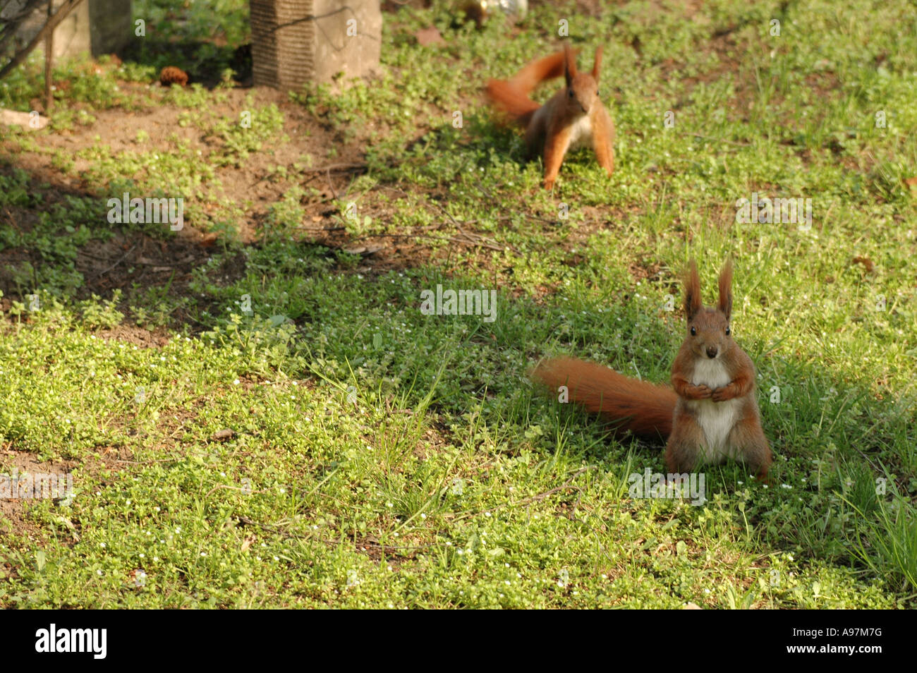 Powazki military cemetery in hi-res stock photography and images - Alamy