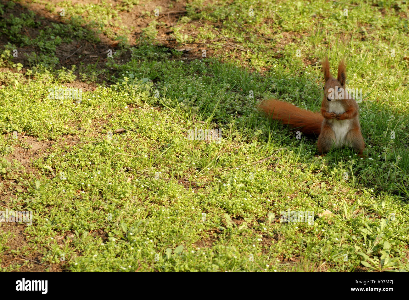 Powazki military cemetery in hi-res stock photography and images - Alamy