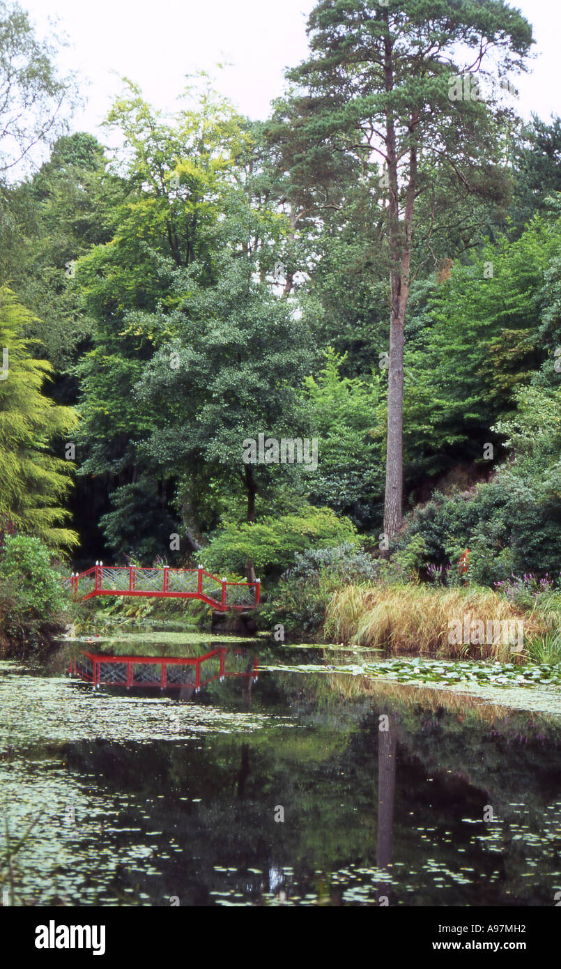 reflection of japanese bridge 2316 Stock Photo - Alamy