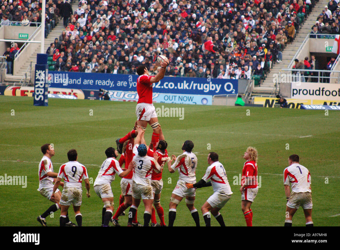 robert sidoli line out jumper 2350 Stock Photo - Alamy