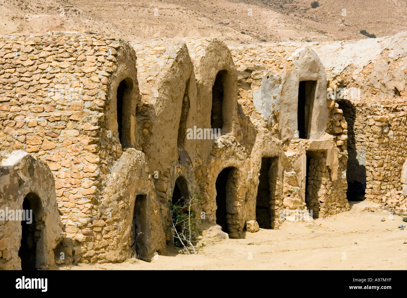 Hallouf hi-res stock photography and images - Alamy