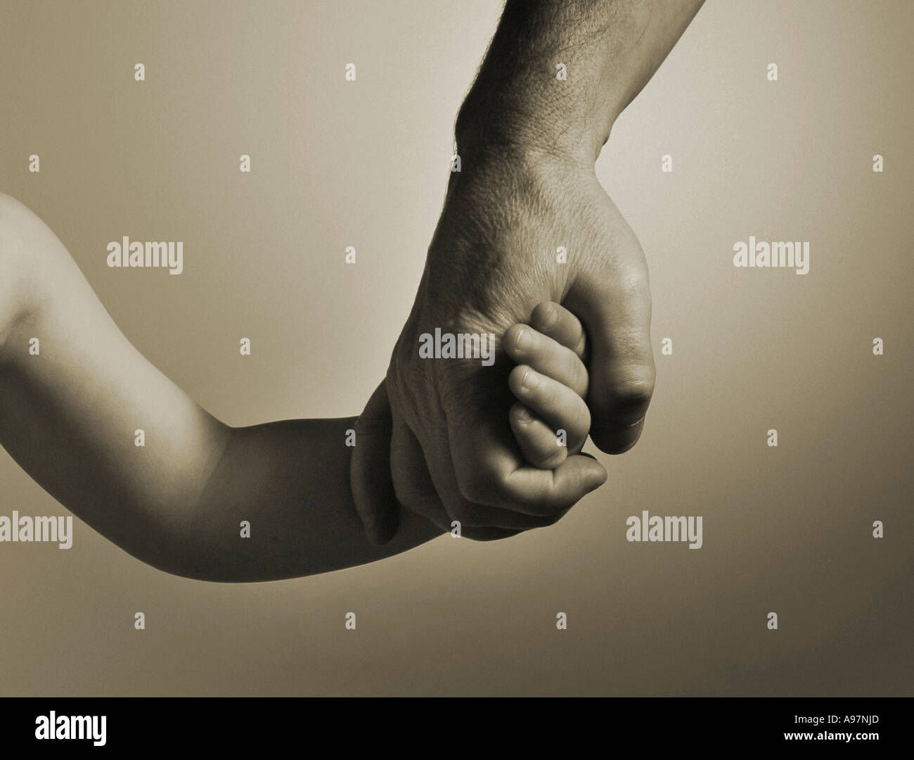 BABY AND ADULT HANDS TOUCHING TOGETHER Stock Photo - Alamy