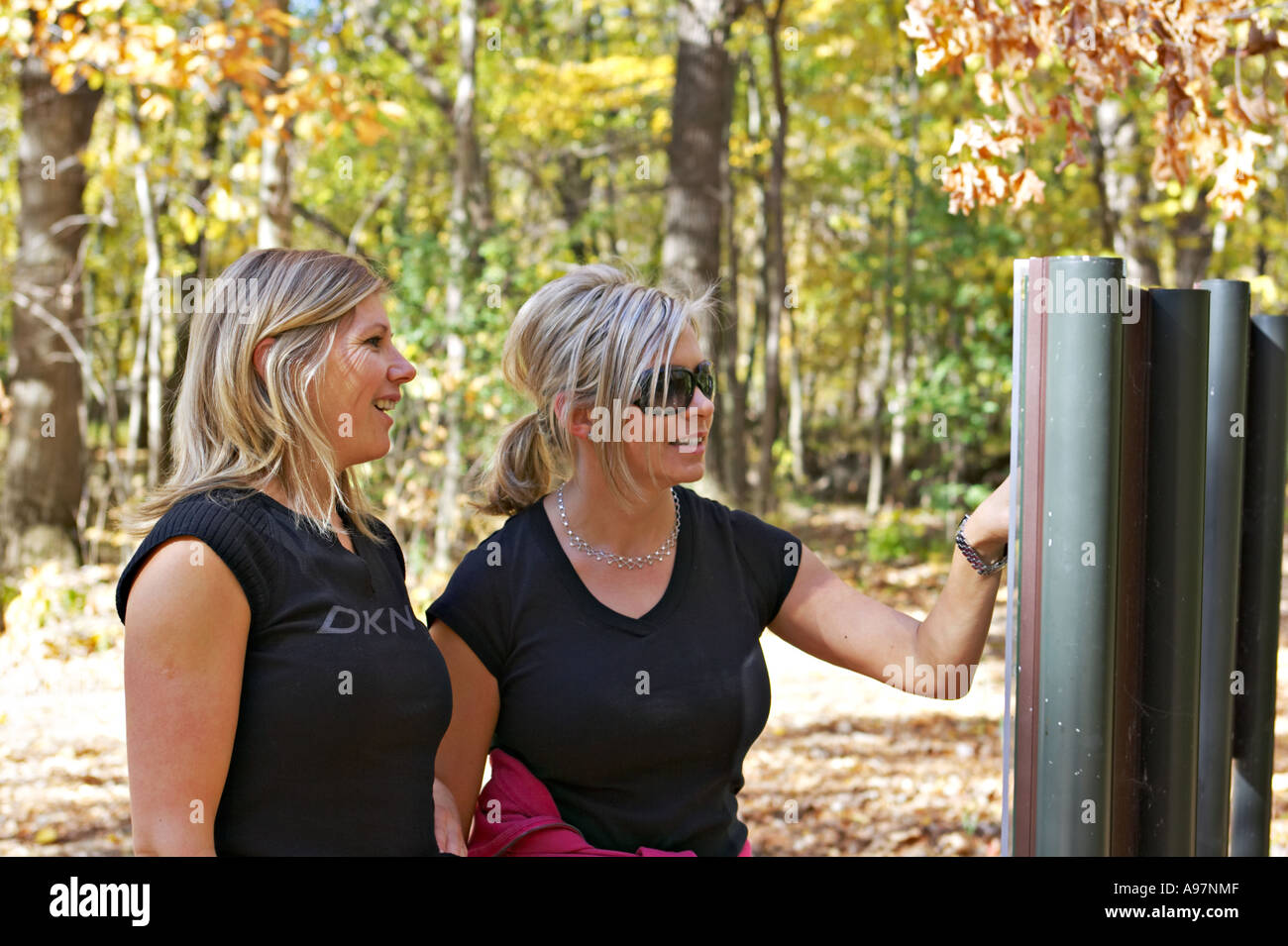 ILLINOIS Wright Woods Forest Preserve Two young women read map of ...