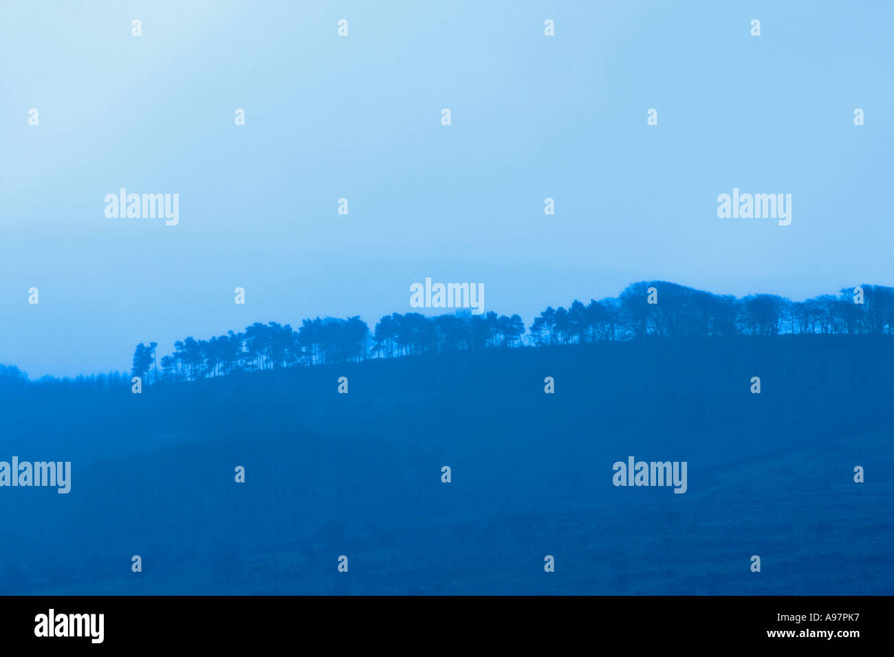 Blue tree skyline, Devon Stock Photo - Alamy