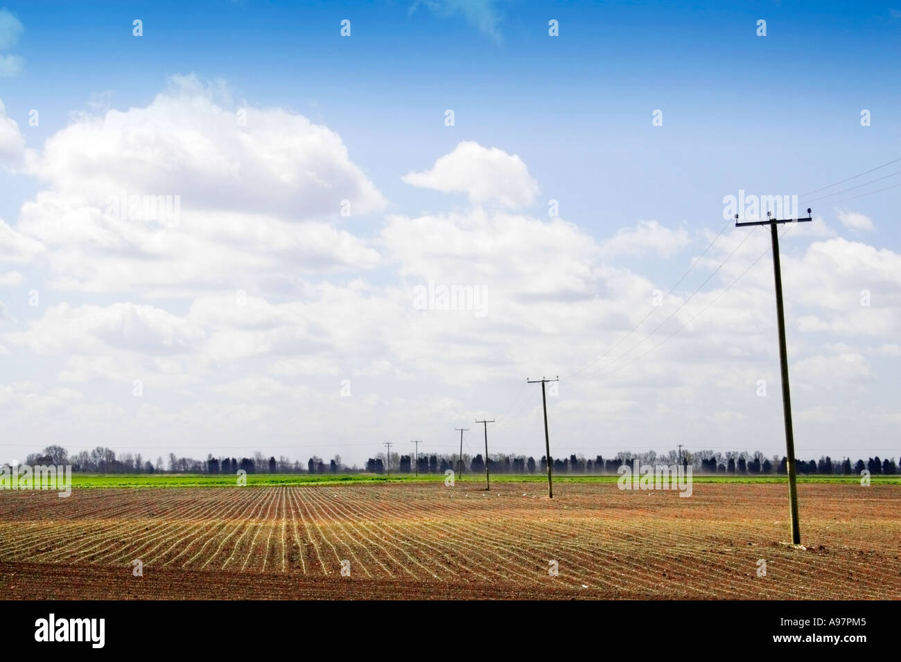Cambridgeshire and the fenlands hi-res stock photography and images - Alamy