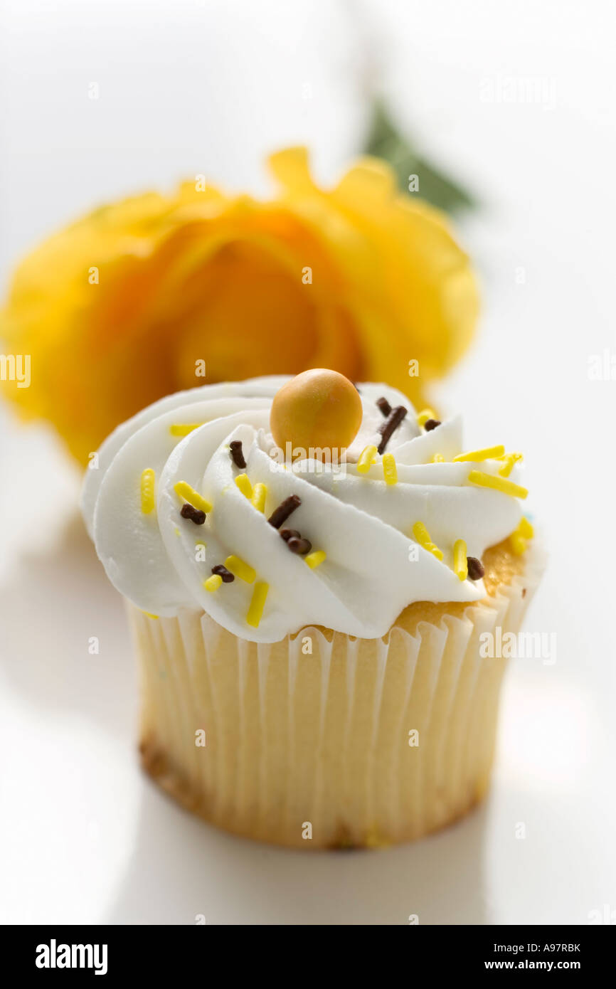 Muffin in front of a rose FoodCollection Stock Photo - Alamy
