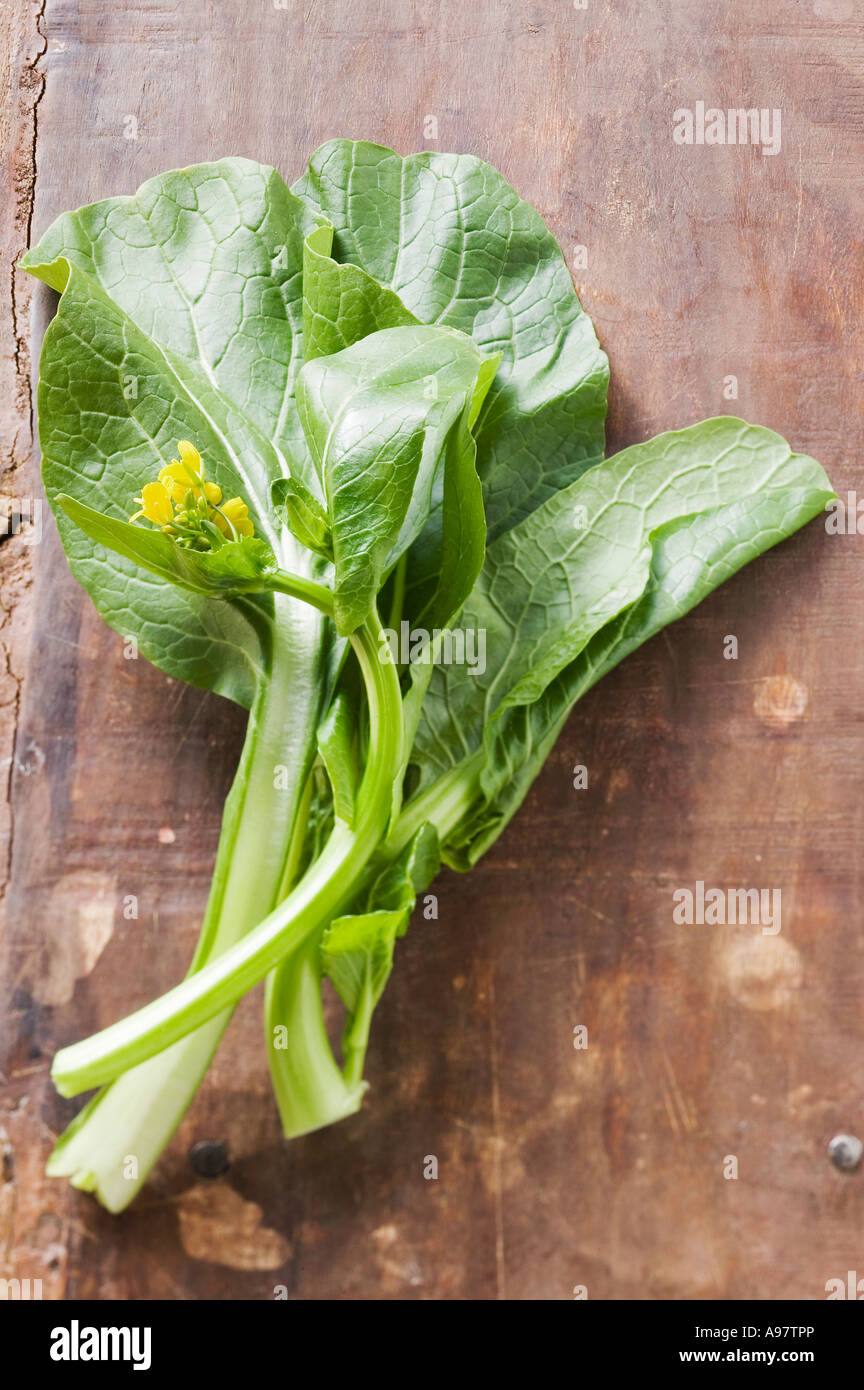 Chinese Flowering Cabbage