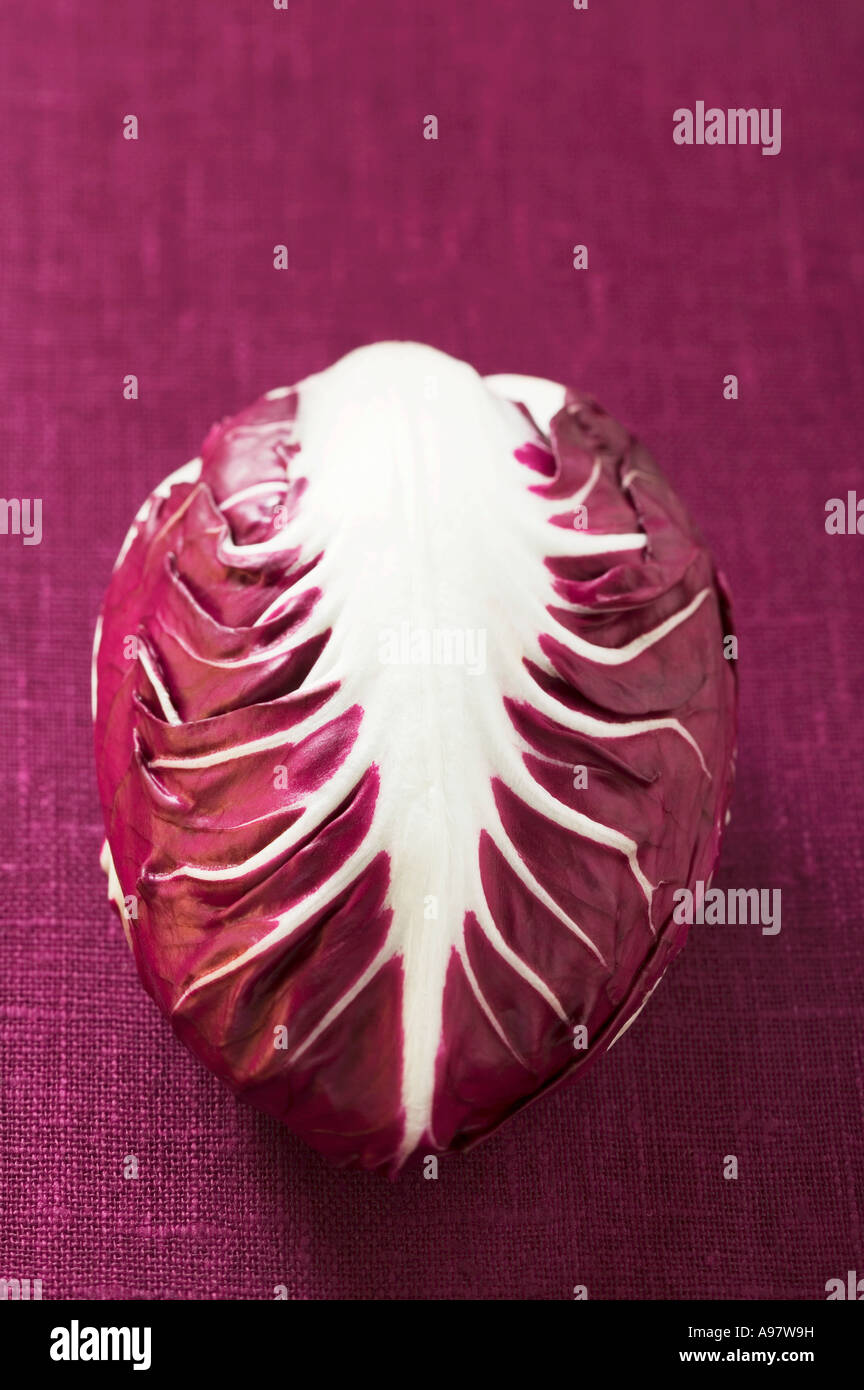 Radicchio on purple background FoodCollection Stock Photo - Alamy