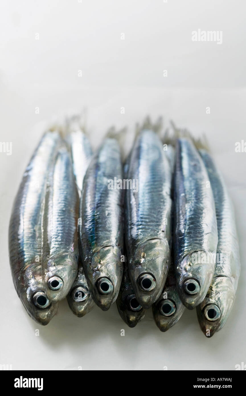 Several fresh anchovies FoodCollection Stock Photo - Alamy