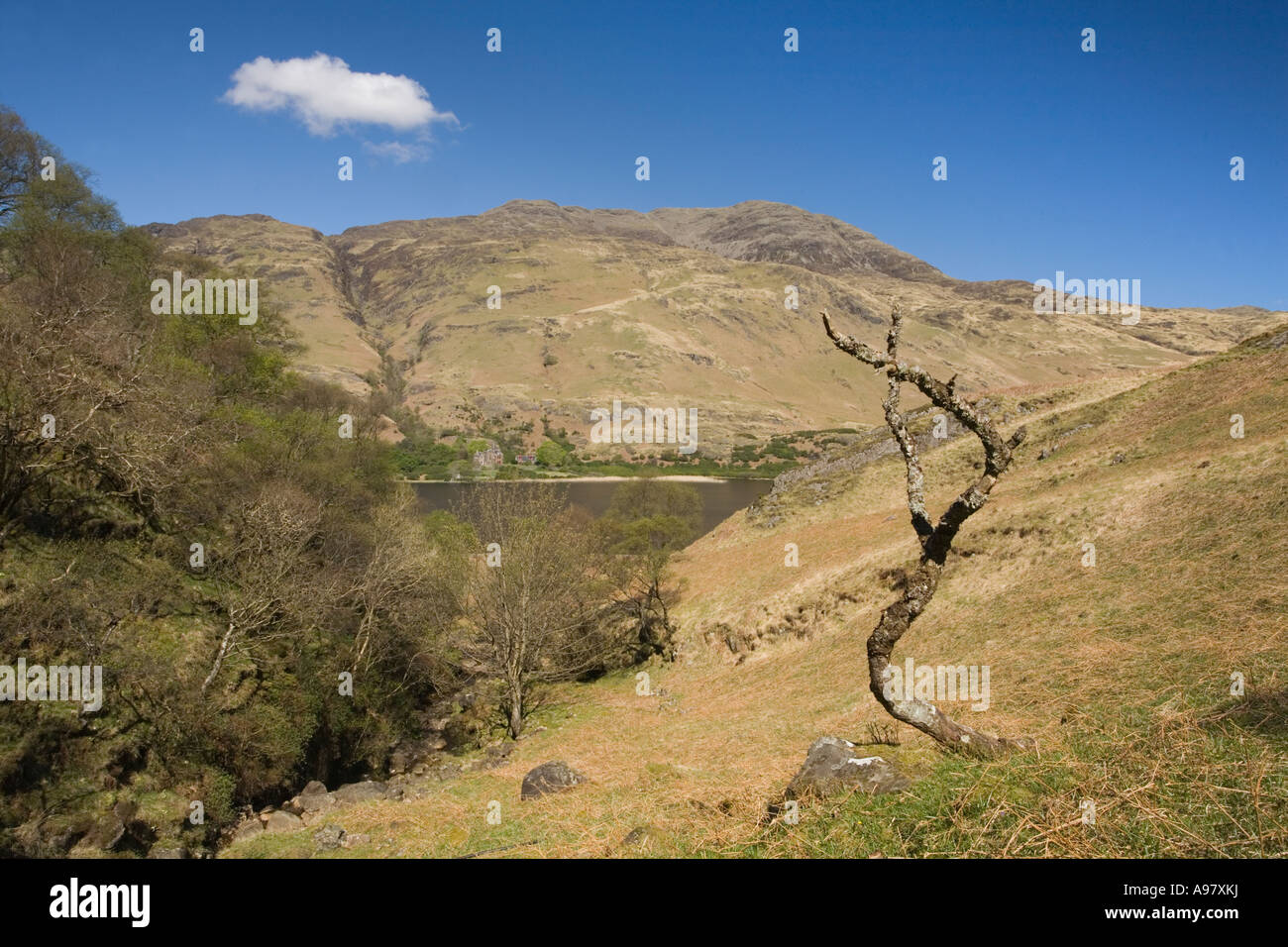 Loch Uisg with mountain trees, Isle of Mull. Scotland Stock Photo - Alamy