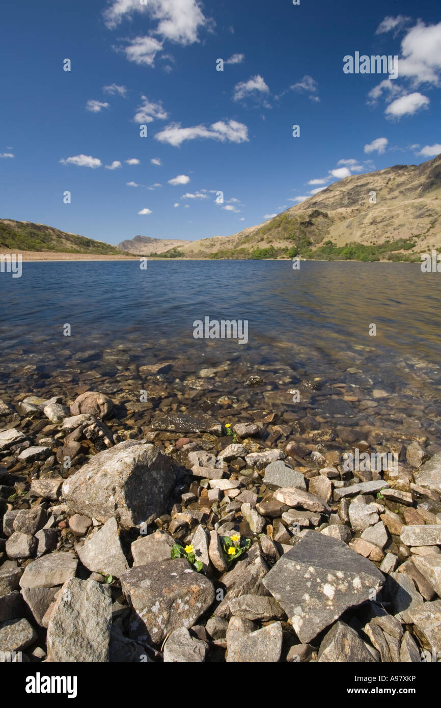 Loch Uisg, Isle of Mull, Scotland Stock Photo - Alamy
