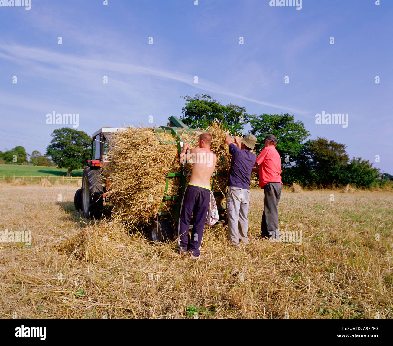 Hay thatching hi-res stock photography and images - Alamy