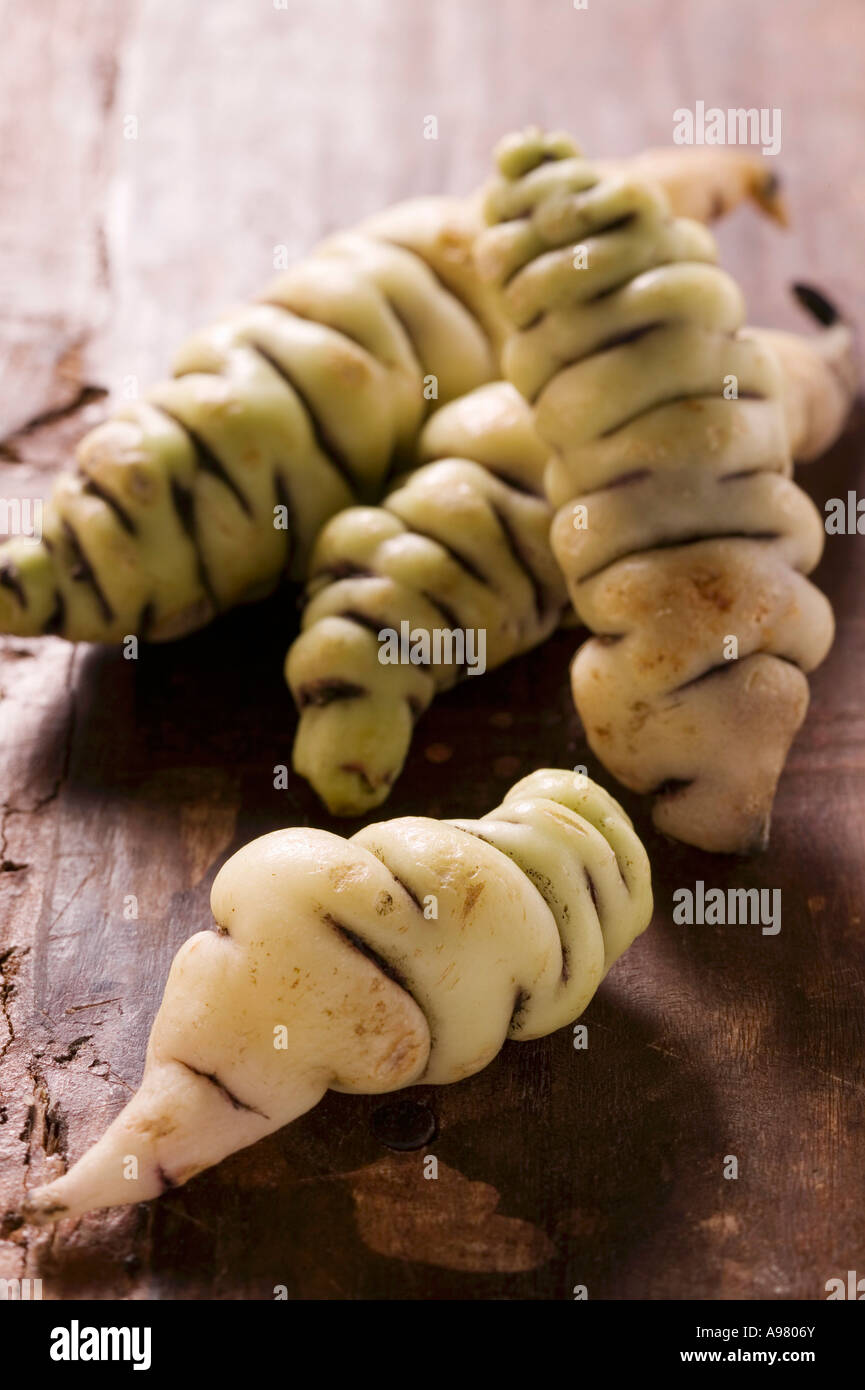 Four oca tubers Oxalis tuberosa FoodCollection Stock Photo - Alamy