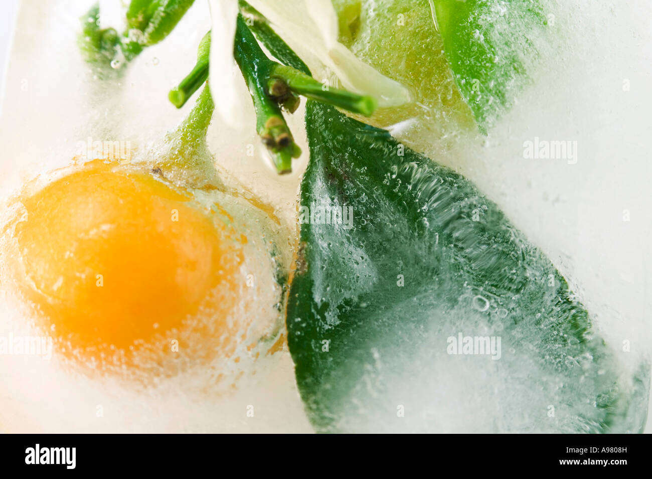 Frozen citrus fruit with leaves FoodCollection Stock Photo - Alamy