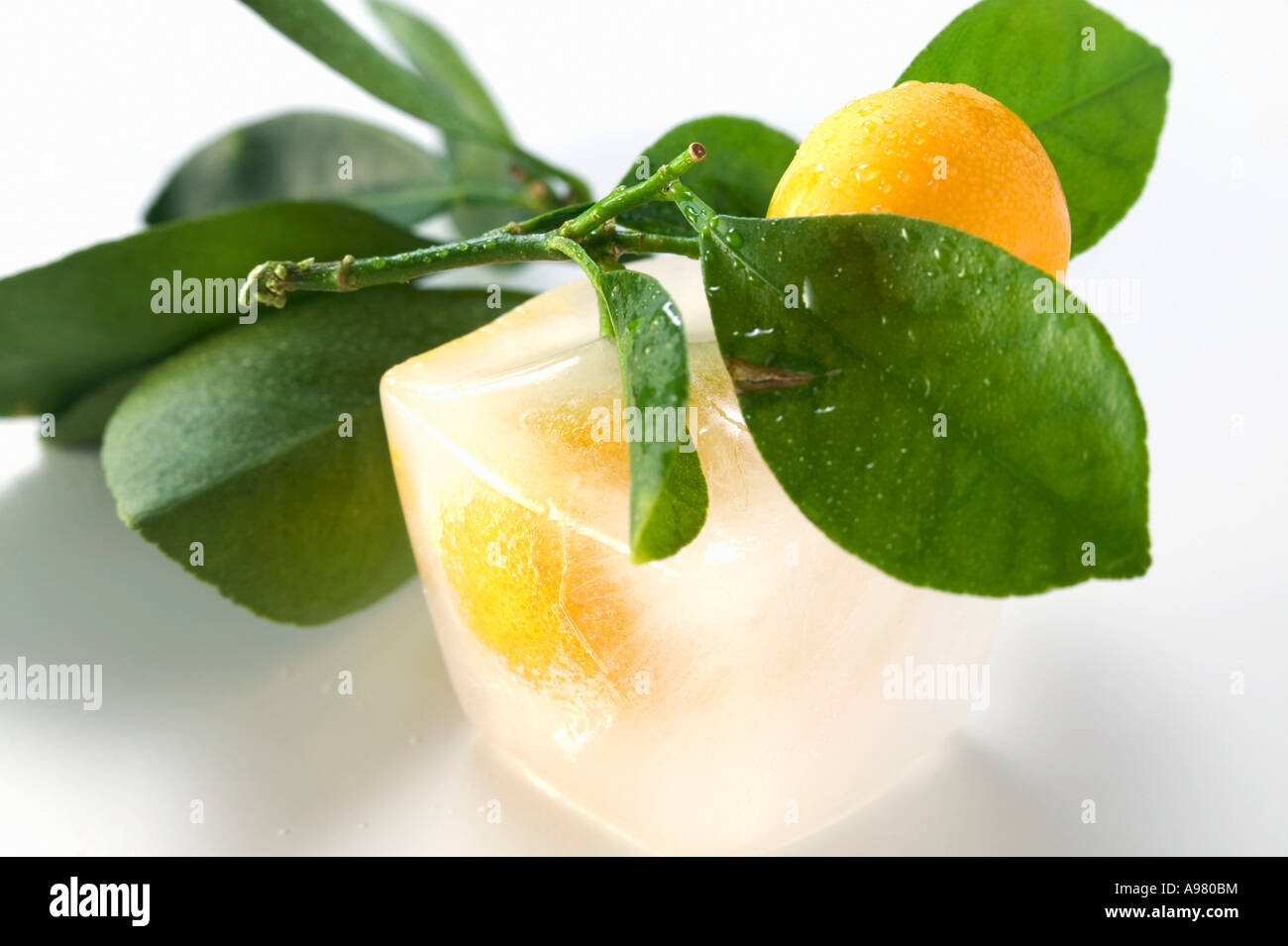 Frozen lemon with leaves FoodCollection Stock Photo - Alamy