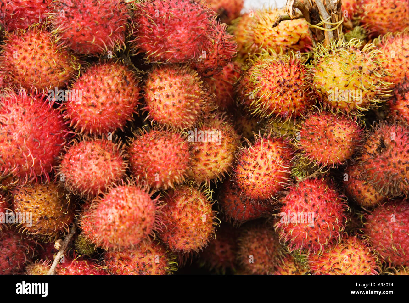 Red Spiky Fruit With Orange Center