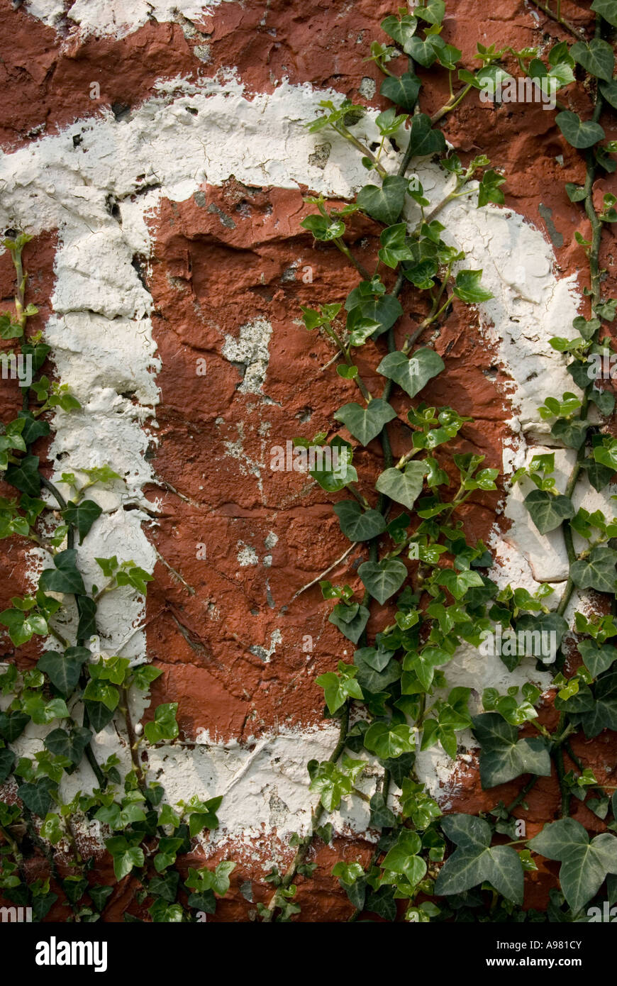 Detail of Cofiwch Dryweryn Graffiti, Ceredigion, Wales Stock Photo - Alamy