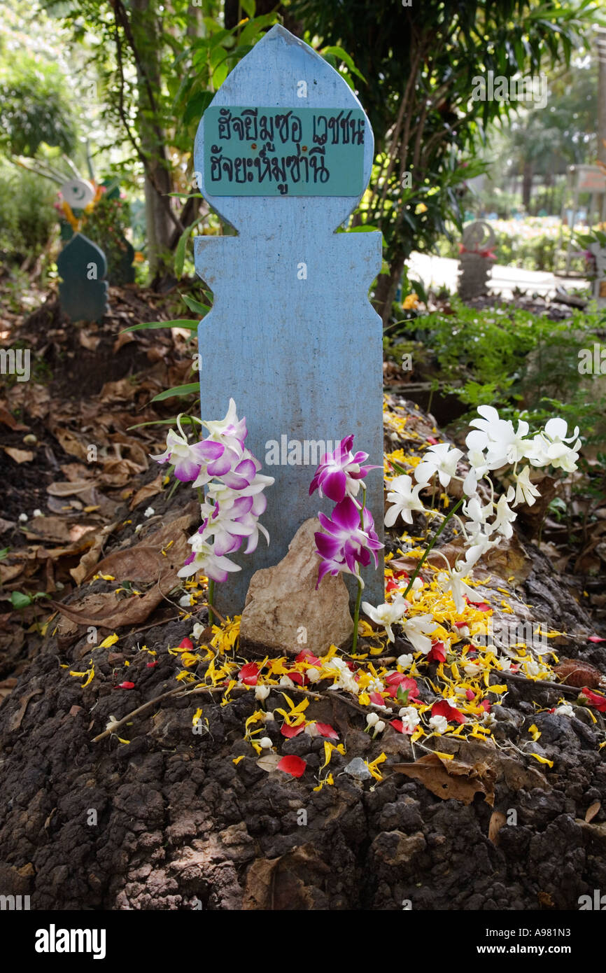 Alphabet orchids hi-res stock photography and images - Alamy