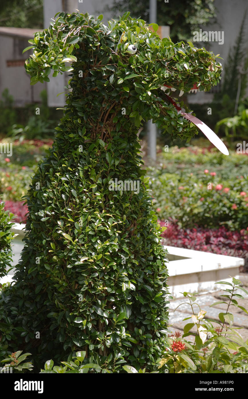 Dog topiary hi-res stock photography and images - Alamy
