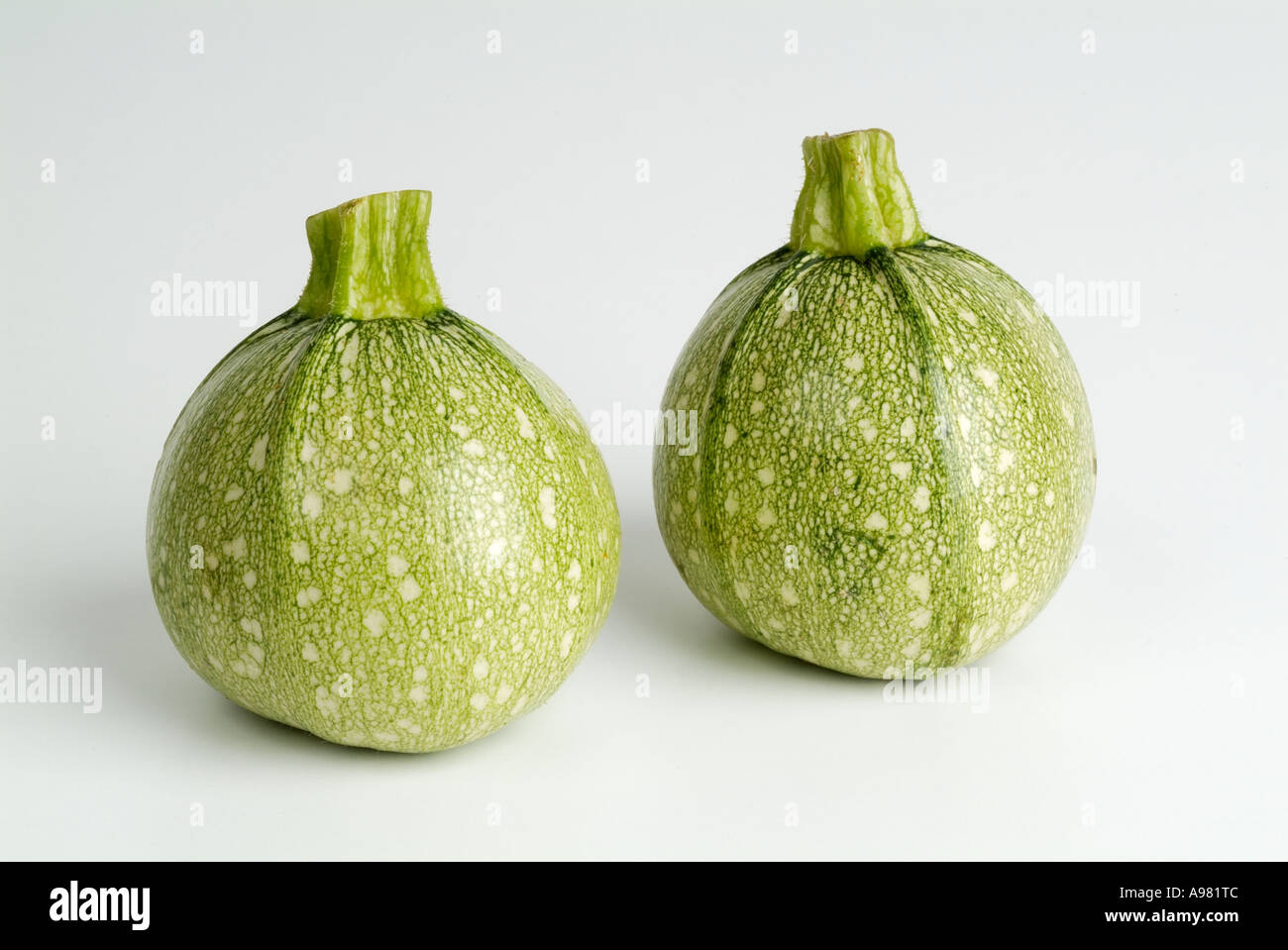 Two round marrows Stock Photo - Alamy