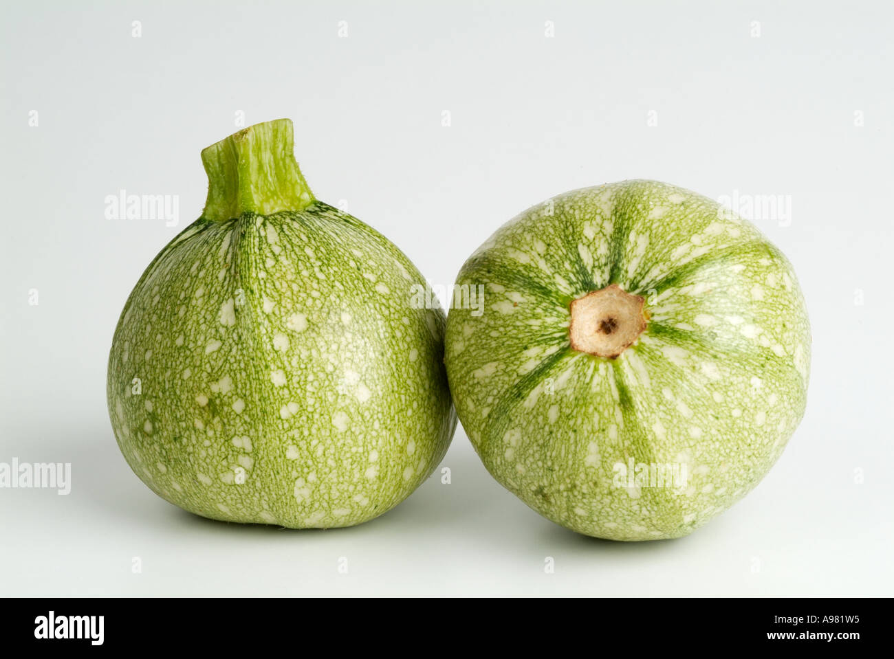 Round marrows hi-res stock photography and images - Alamy