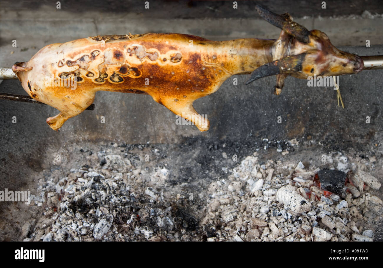 Whole goat roasting over an open coals, view from above, Danang ...