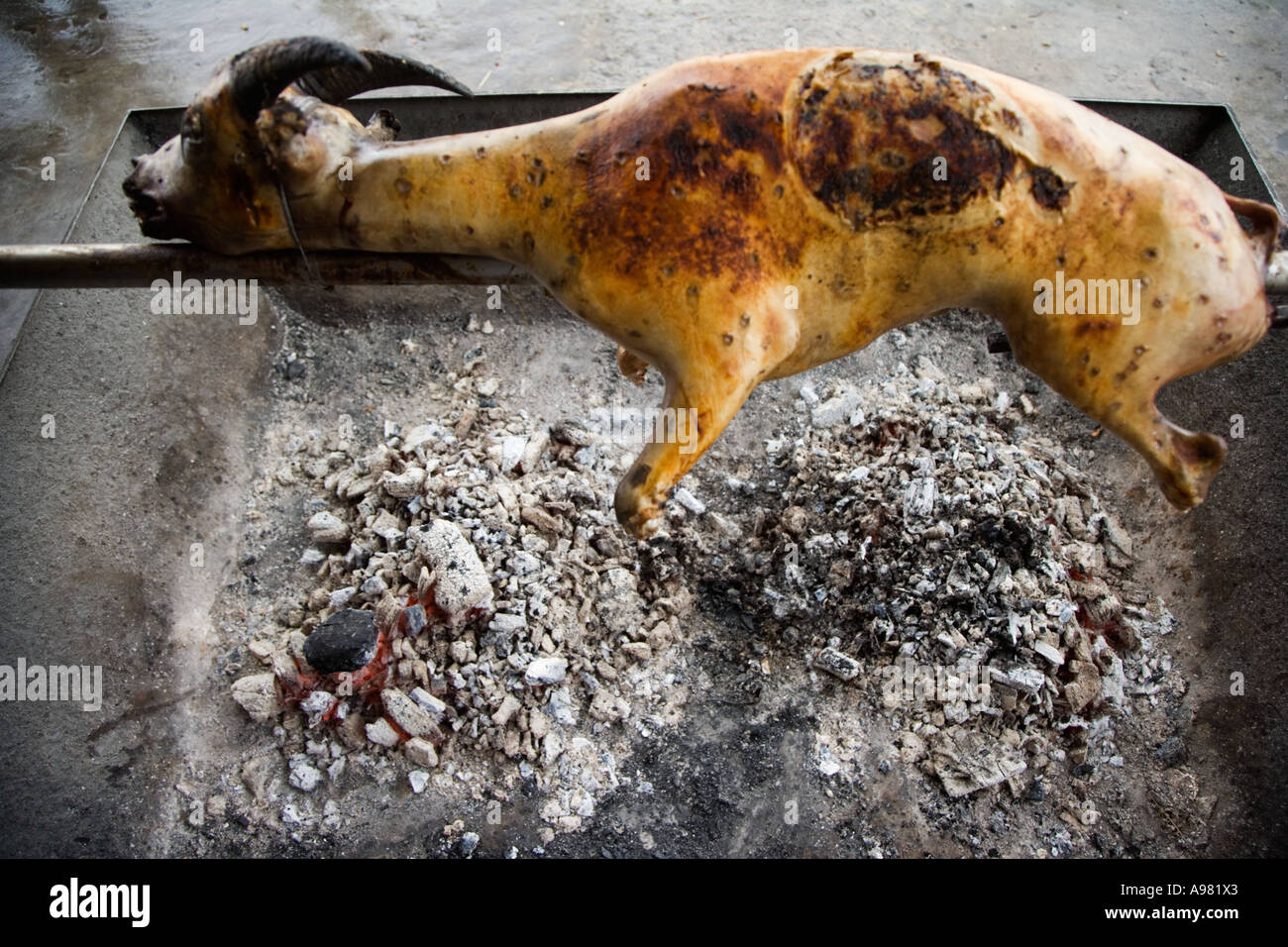 Whole goat roasting over an open coals, focus on coals, Danang, Vietnam ...