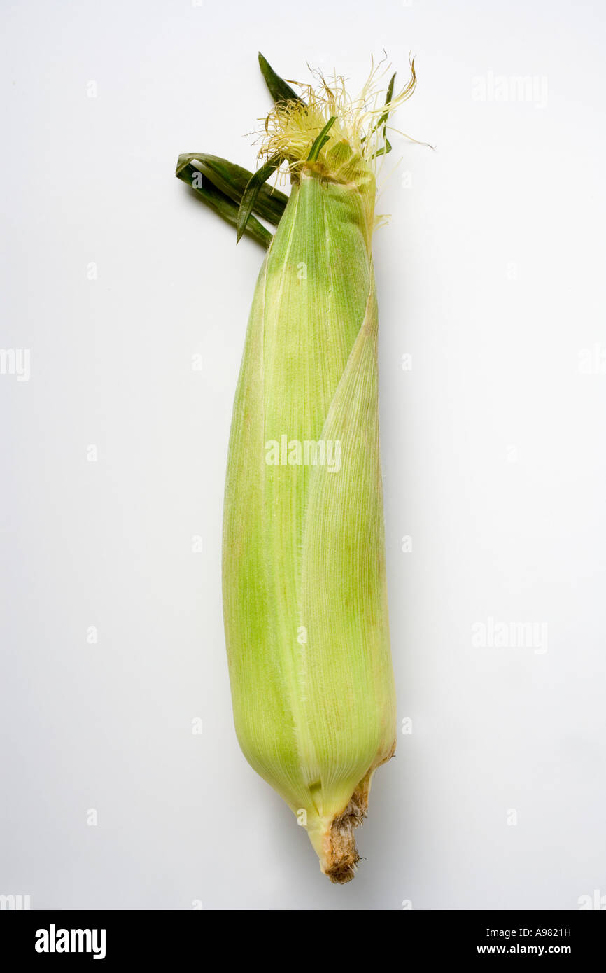 An unhusked corn cob FoodCollection Stock Photo - Alamy