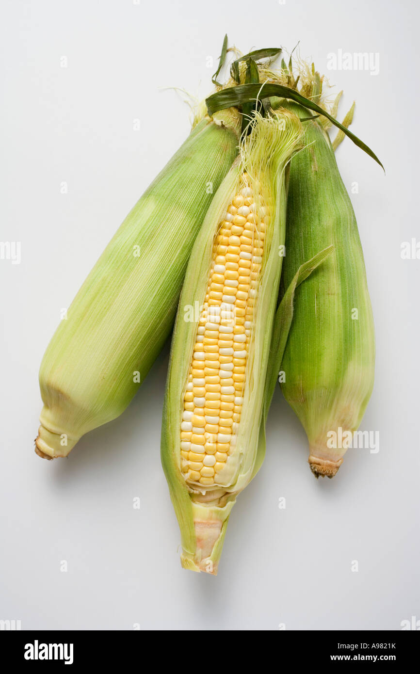 Three corn cobs with husks FoodCollection Stock Photo - Alamy