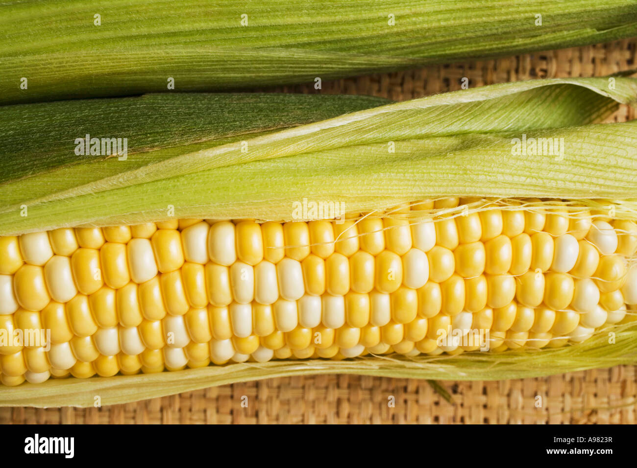 Two corn cobs with husks FoodCollection Stock Photo - Alamy