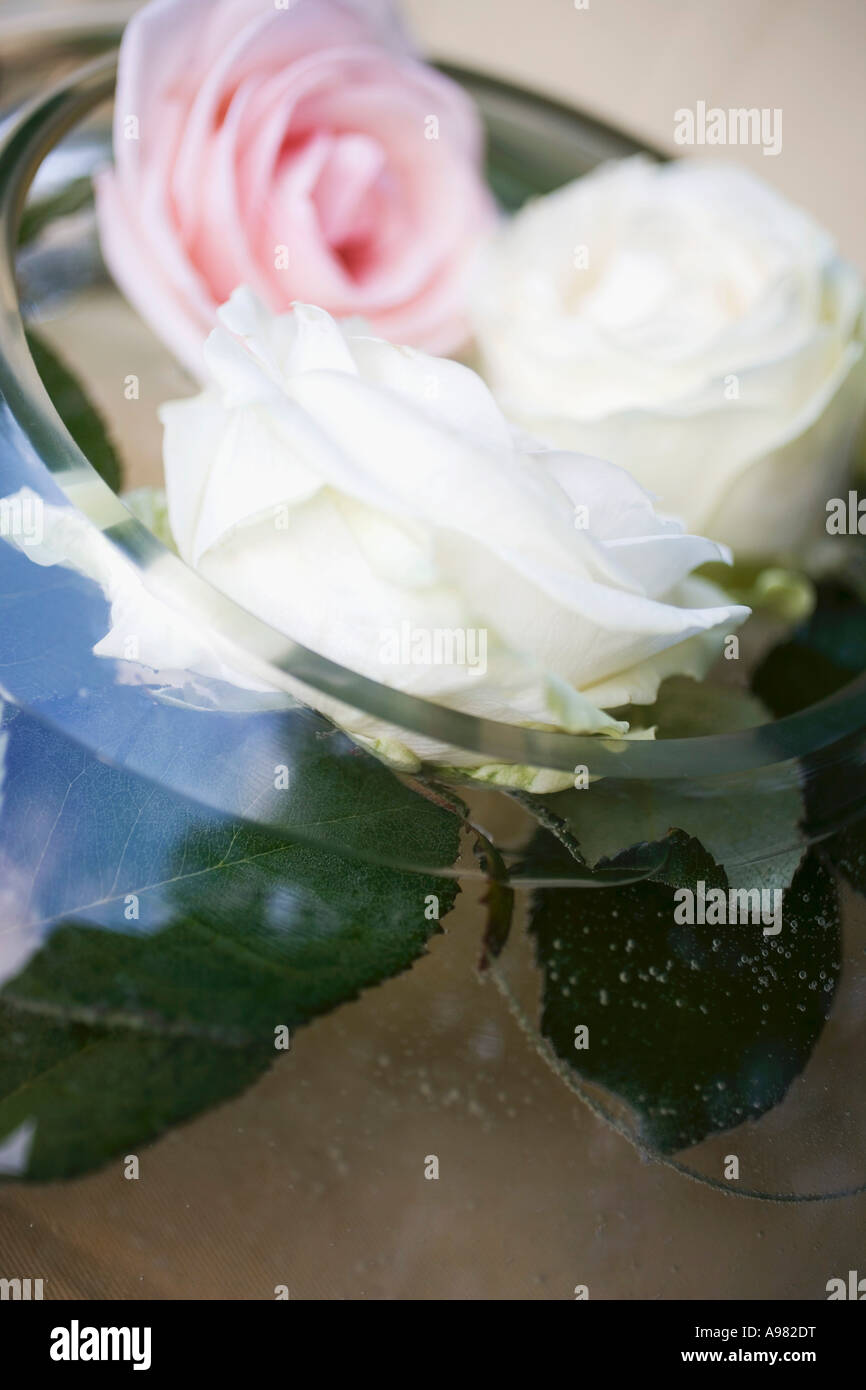 Floating roses FoodCollection Stock Photo - Alamy
