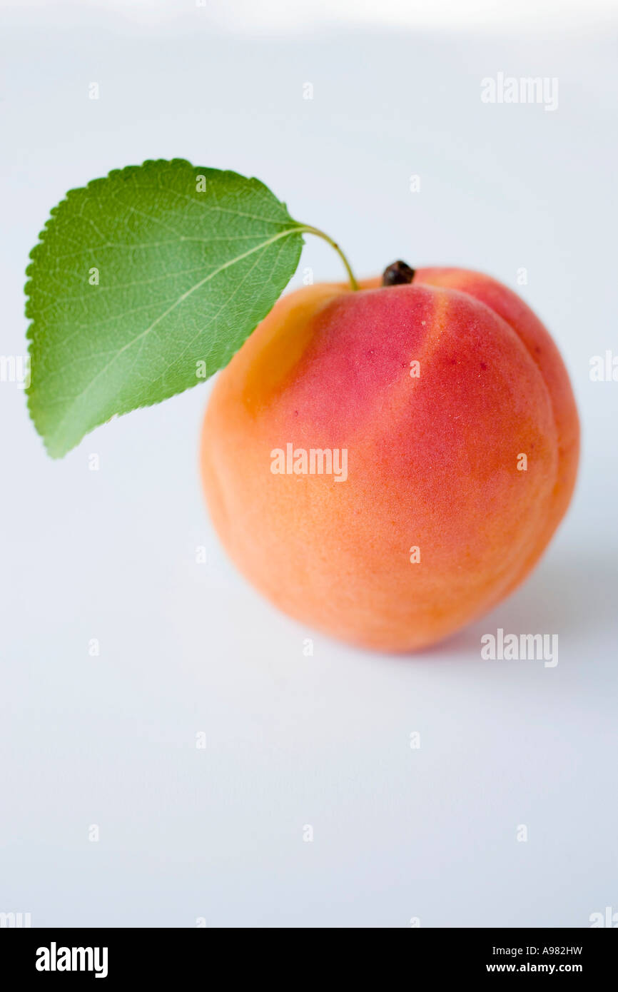 An apricot FoodCollection Stock Photo - Alamy