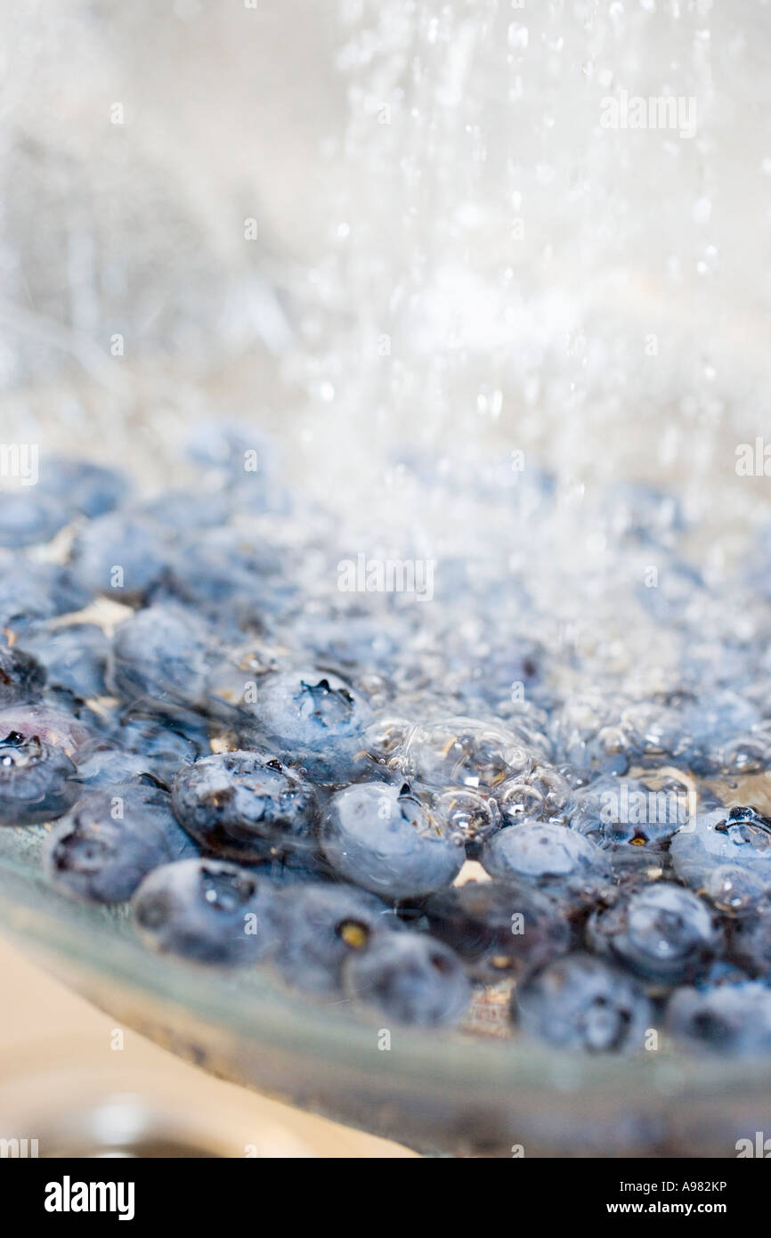 Blueberries in water FoodCollection Stock Photo - Alamy