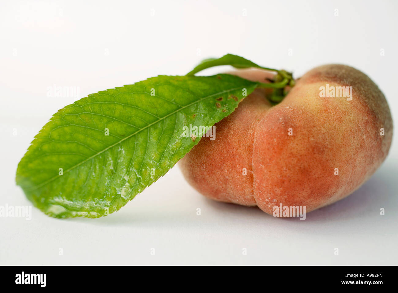 A peach with leaf FoodCollection Stock Photo - Alamy