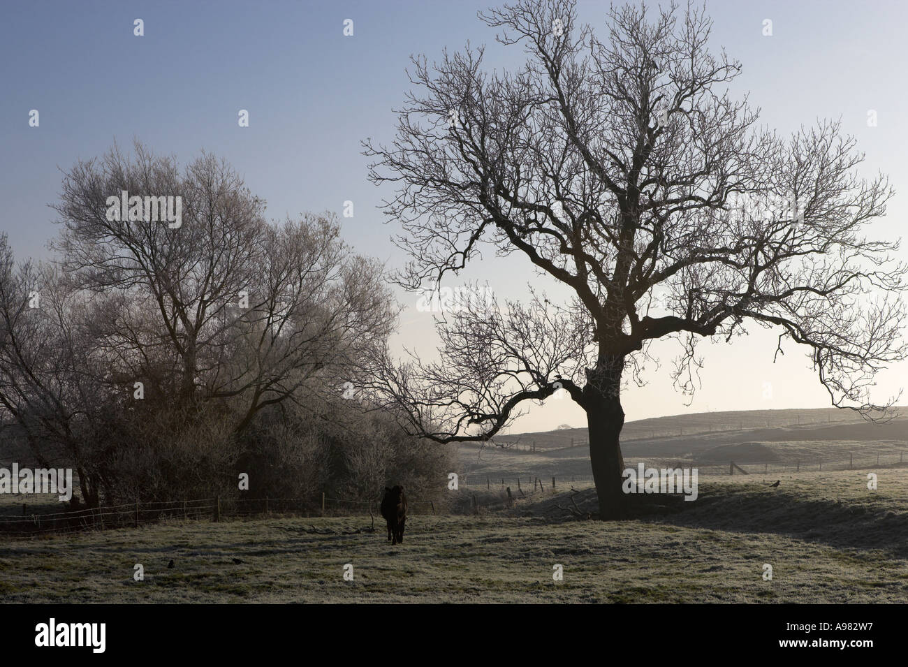 Winter Countryside, Northamptonshire, England, UK Stock Photo - Alamy