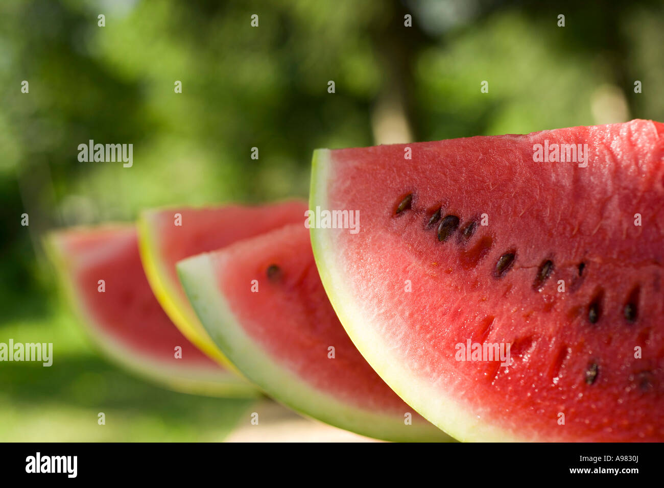Four slices of watermelon FoodCollection Stock Photo - Alamy
