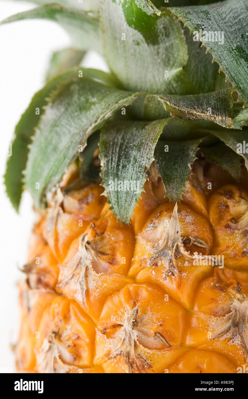 Pineapple close up FoodCollection Stock Photo - Alamy