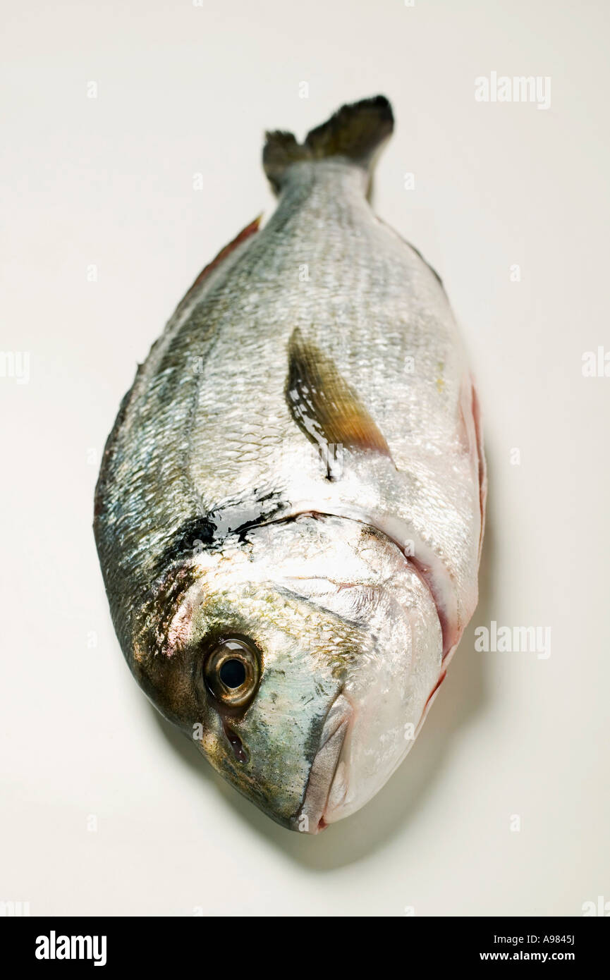 Fresh sea bream FoodCollection Stock Photo - Alamy