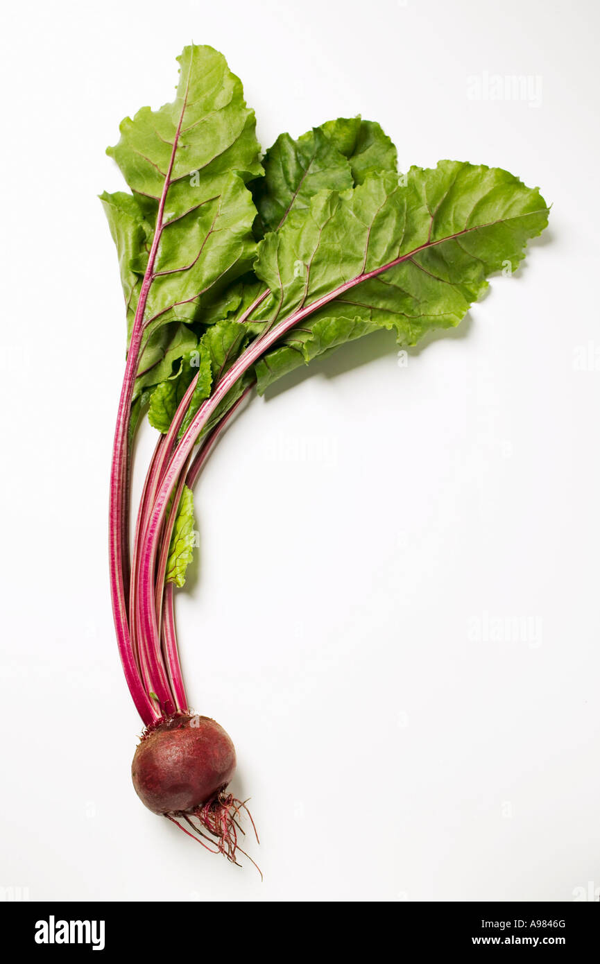 Beetroot with leaves FoodCollection Stock Photo - Alamy